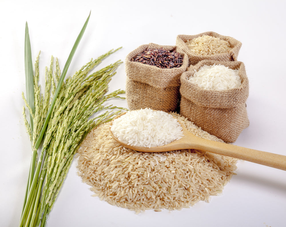 Bulk Products – our organics trading co